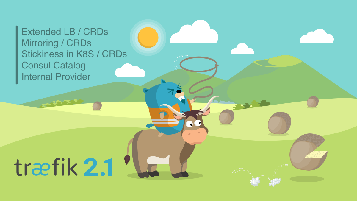 Traefik 2.1 - 2.X in the Wild