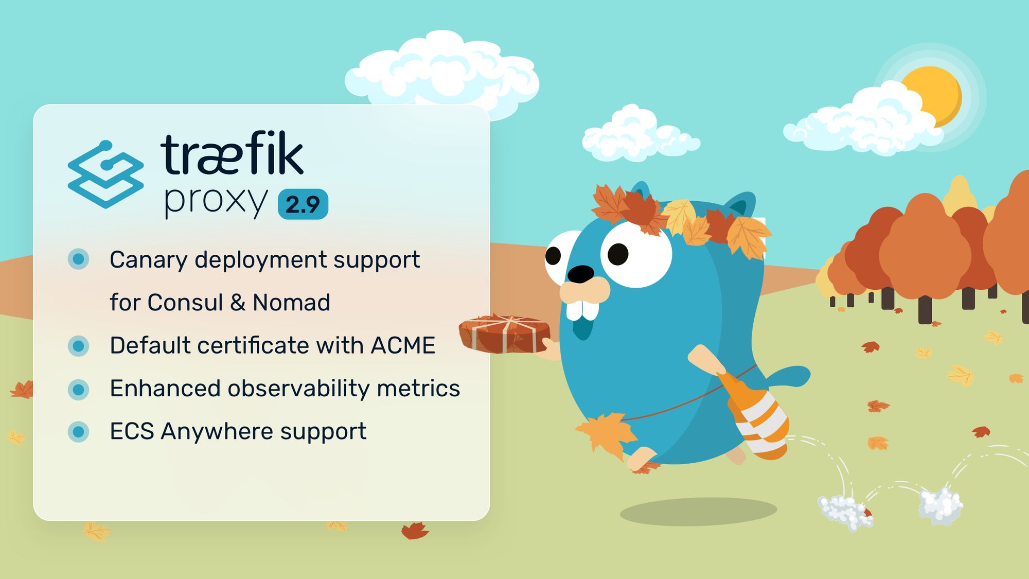 Announcing Traefik Proxy 2.9 | Traefik Labs